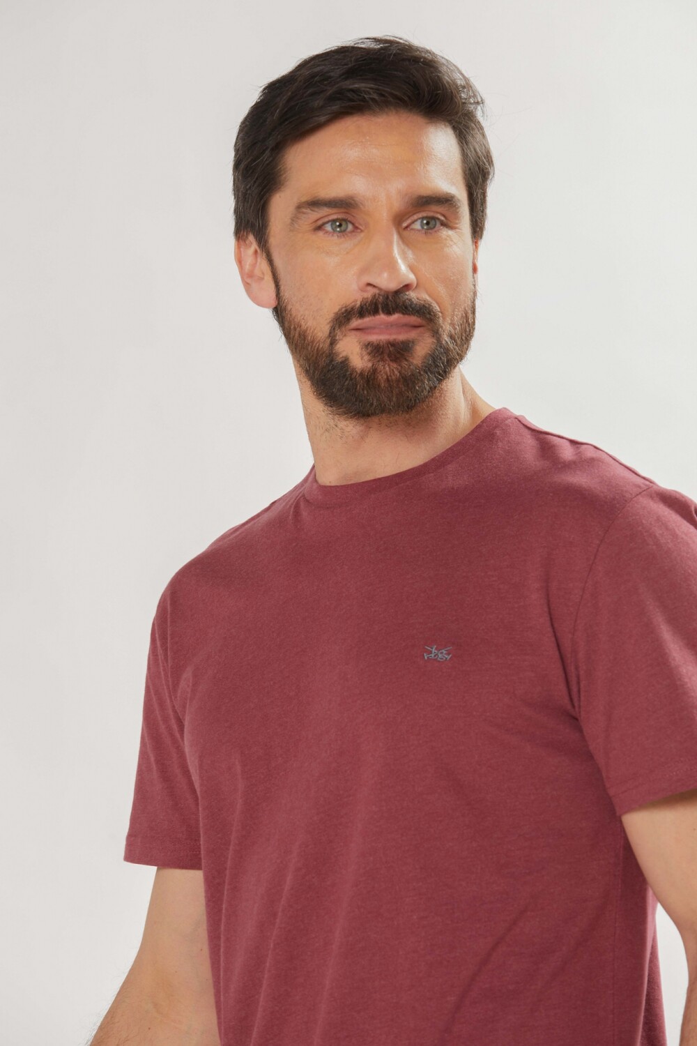 REMERA LISA - Bordo — Legacy