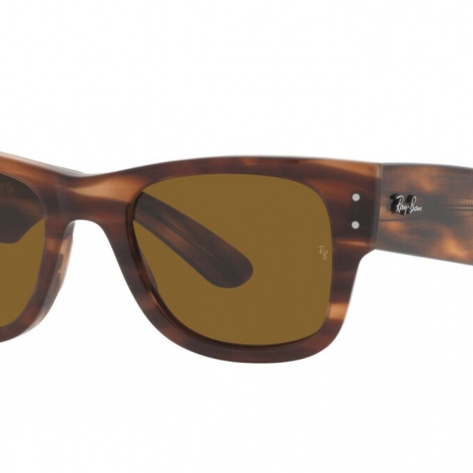 Ray-Ban 0840S - Havana — Optica Americana