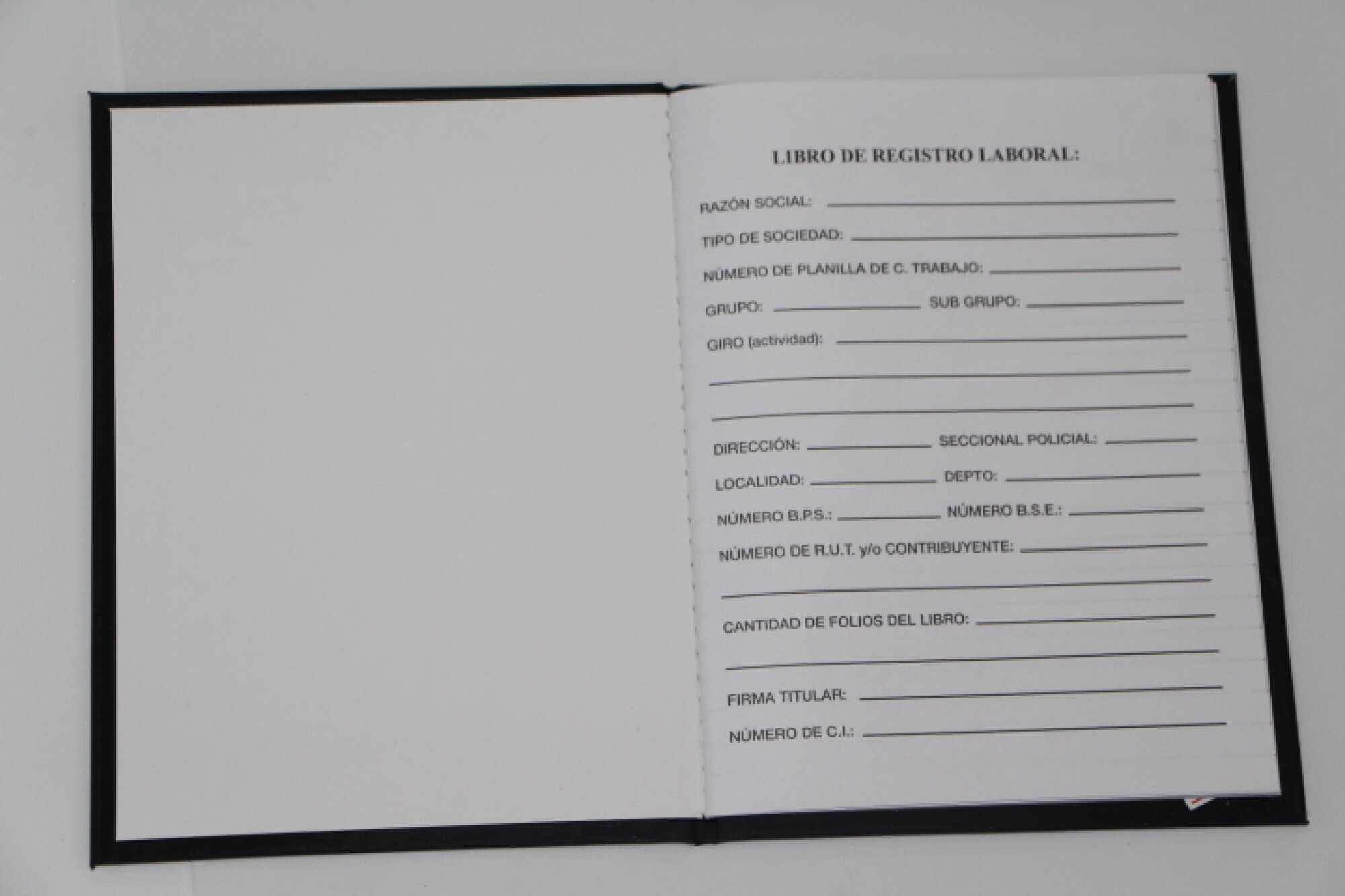 LIBRO CONTABLE DE INSPECCIONES — Alberto Gandulia