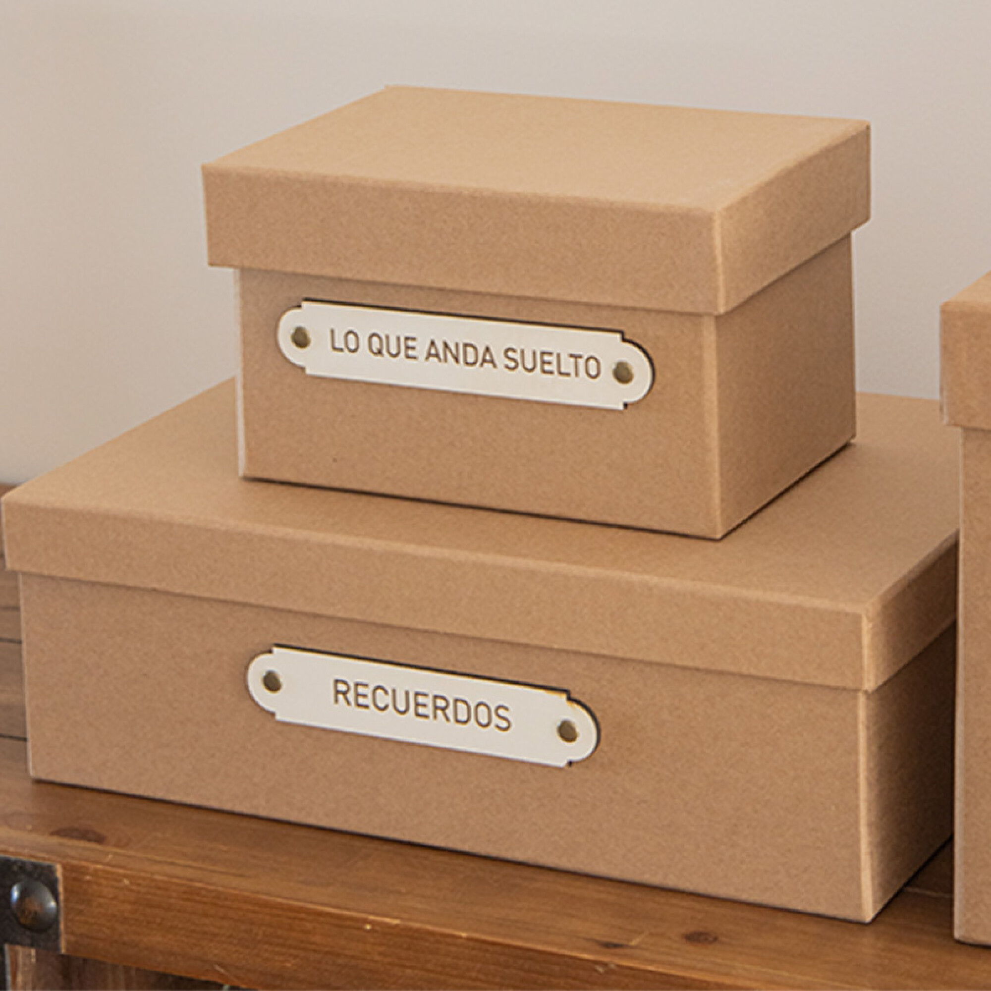 Caja Rotulada Kraft | Grande — Organiza Simple