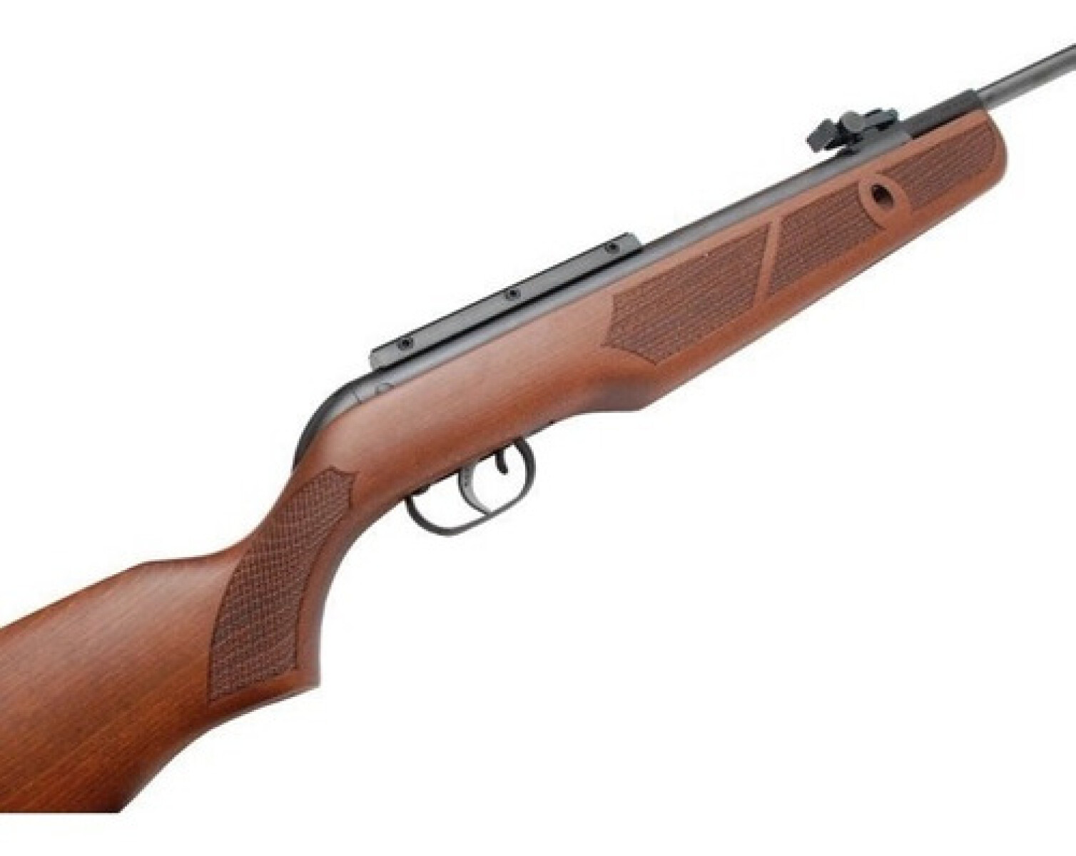 Chumbera Gamo Cal 4.5mm Hunter Se Igt — Magnum
