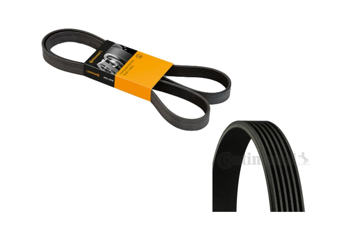 Correa De Accesorios — Larrique Rulemanes