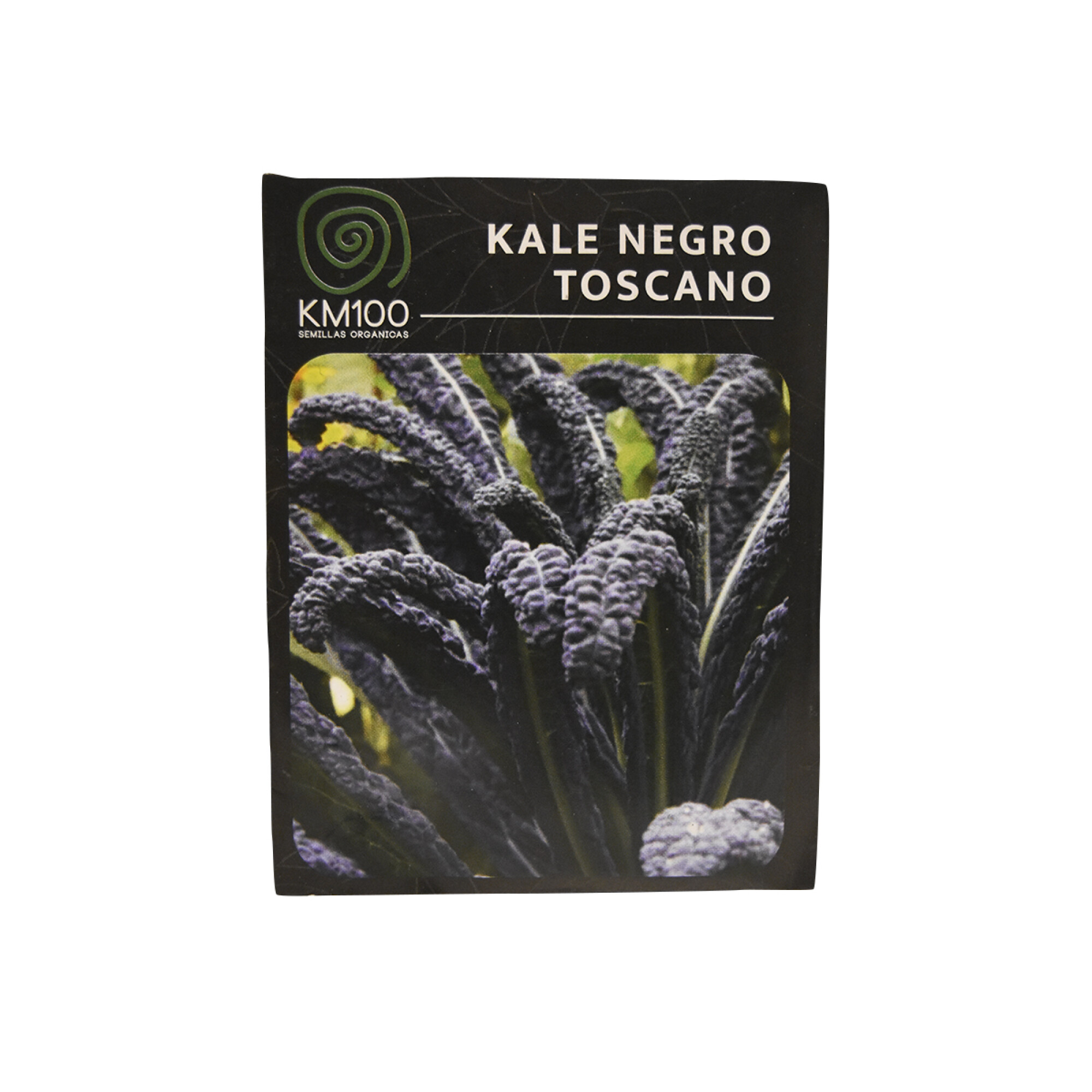 Semillas autocultivo de kale negro toscano KM100 — La Molienda