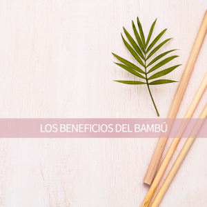 LOS BENEFICIOS DEL BAMBÚ — Hortensia - Boutique de Belleza