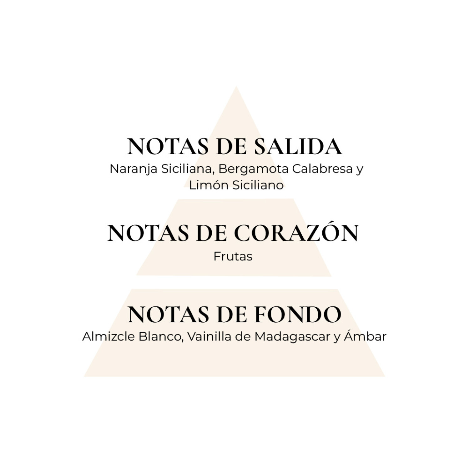 Risala Pure Ombre Eau de Parfum 100 ml — Dubai Signature