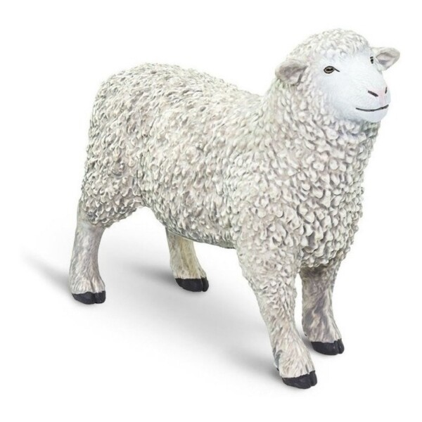Safari Oveja Animal Figura Coleccion Original Ovejita — Atrix