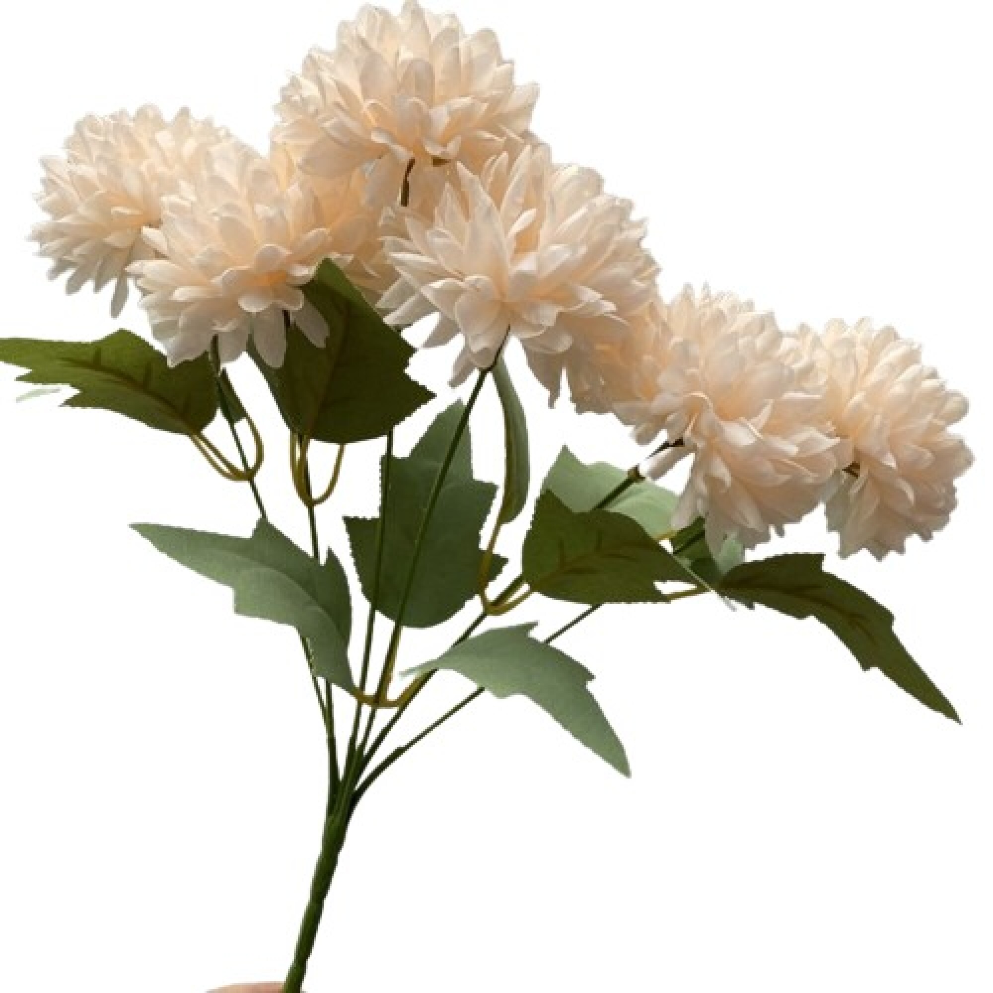 Ramo Copete Seis Flores - Crema — Que Regalo