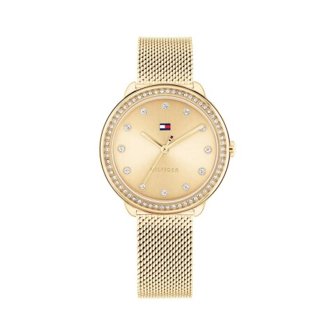 Relojes Tommy Hilfiger Originales en Uruguay – Riviera Joyas — Riviera ...