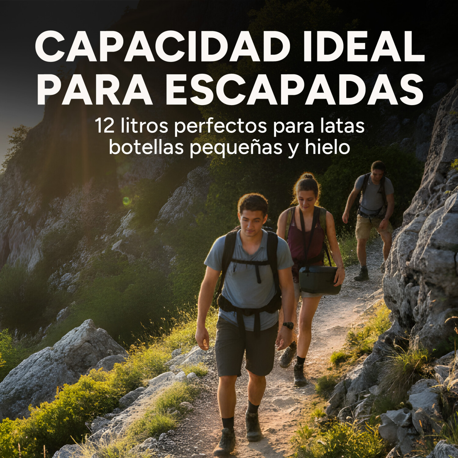 Conservadora Hielera Vintage 20L Litros Latas Hielo Polarbox - Color ...