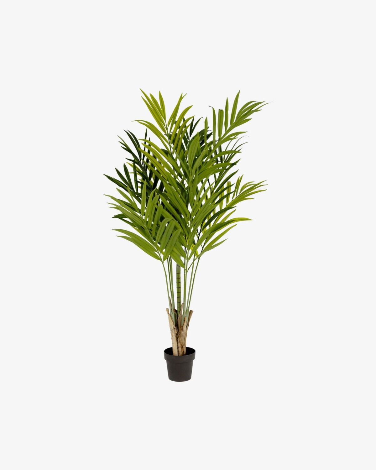 Planta artificial Palmera de bambú con maceta negro 170 cm — Kave Home