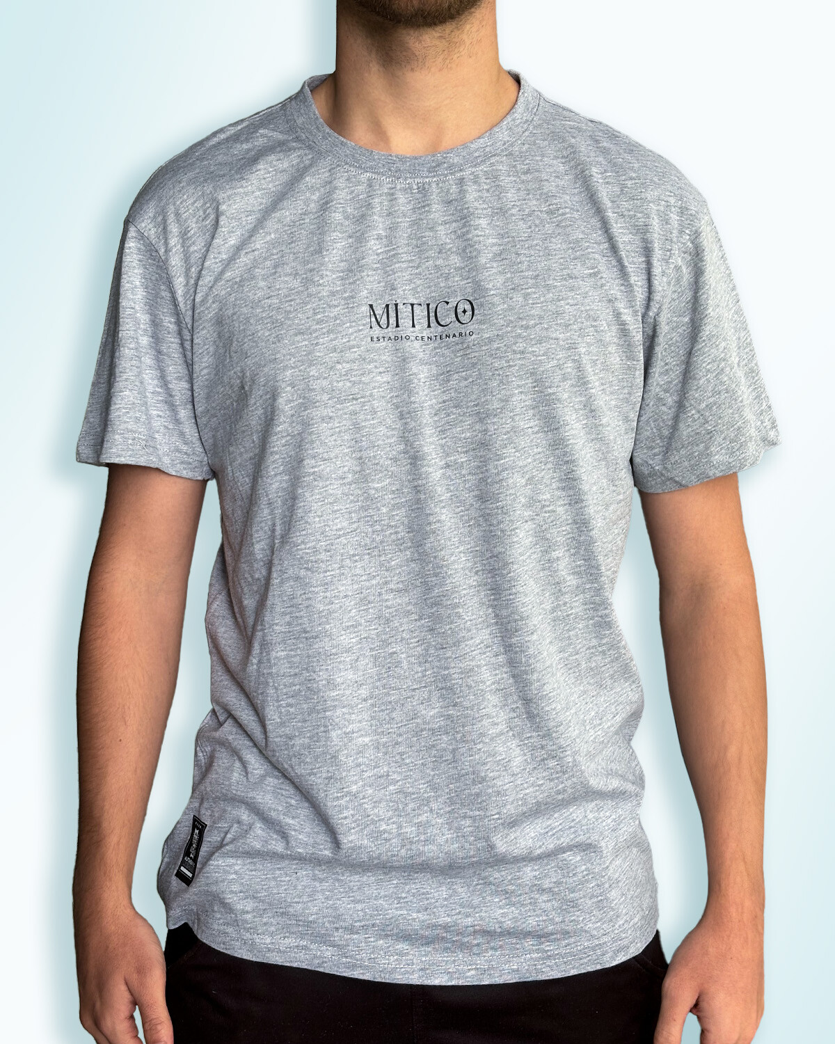 Remera Mítico Centenario - Gris — AUF Store
