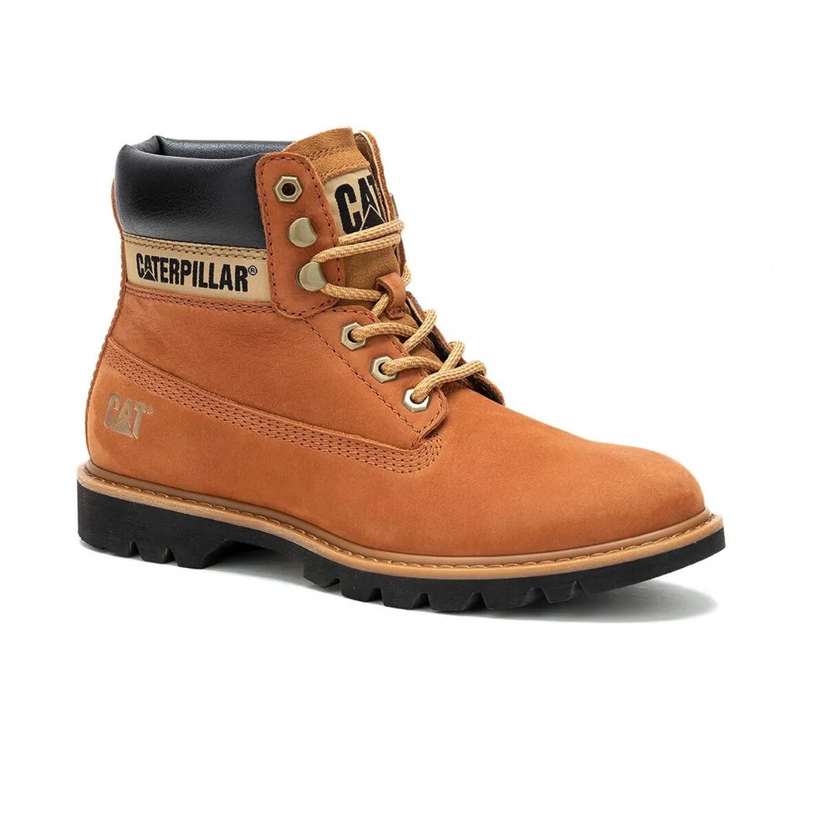 CAT COLORADO AUTUMNAL - 000 — Zooko