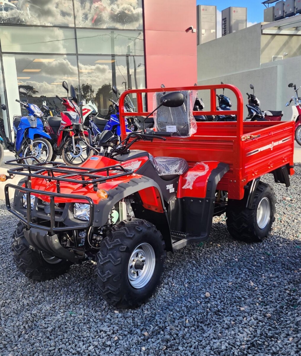 Yumbo 4track 250 T Box - Reserva — Bike Up