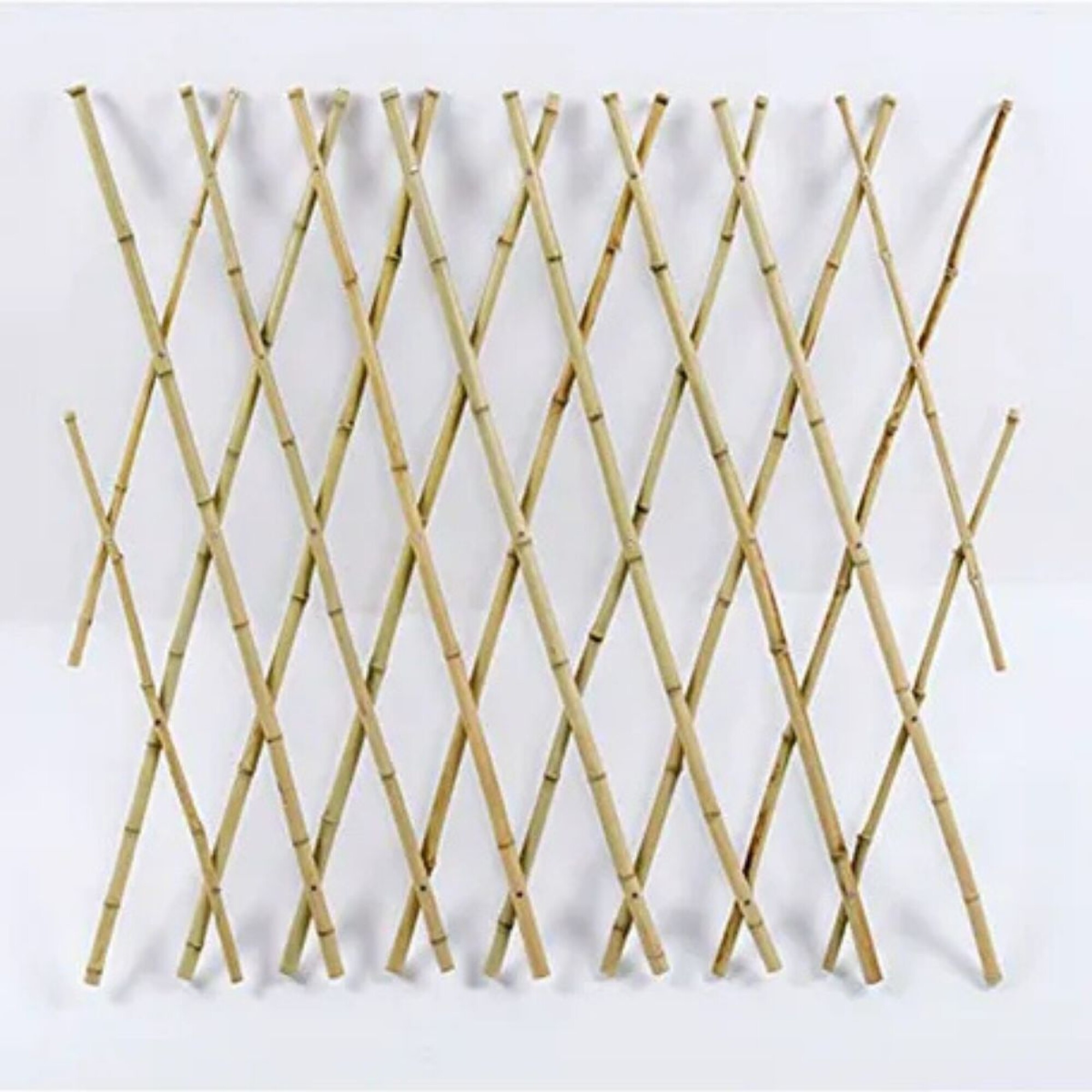 Cerco Extensible de Bambú — Casa Fessta