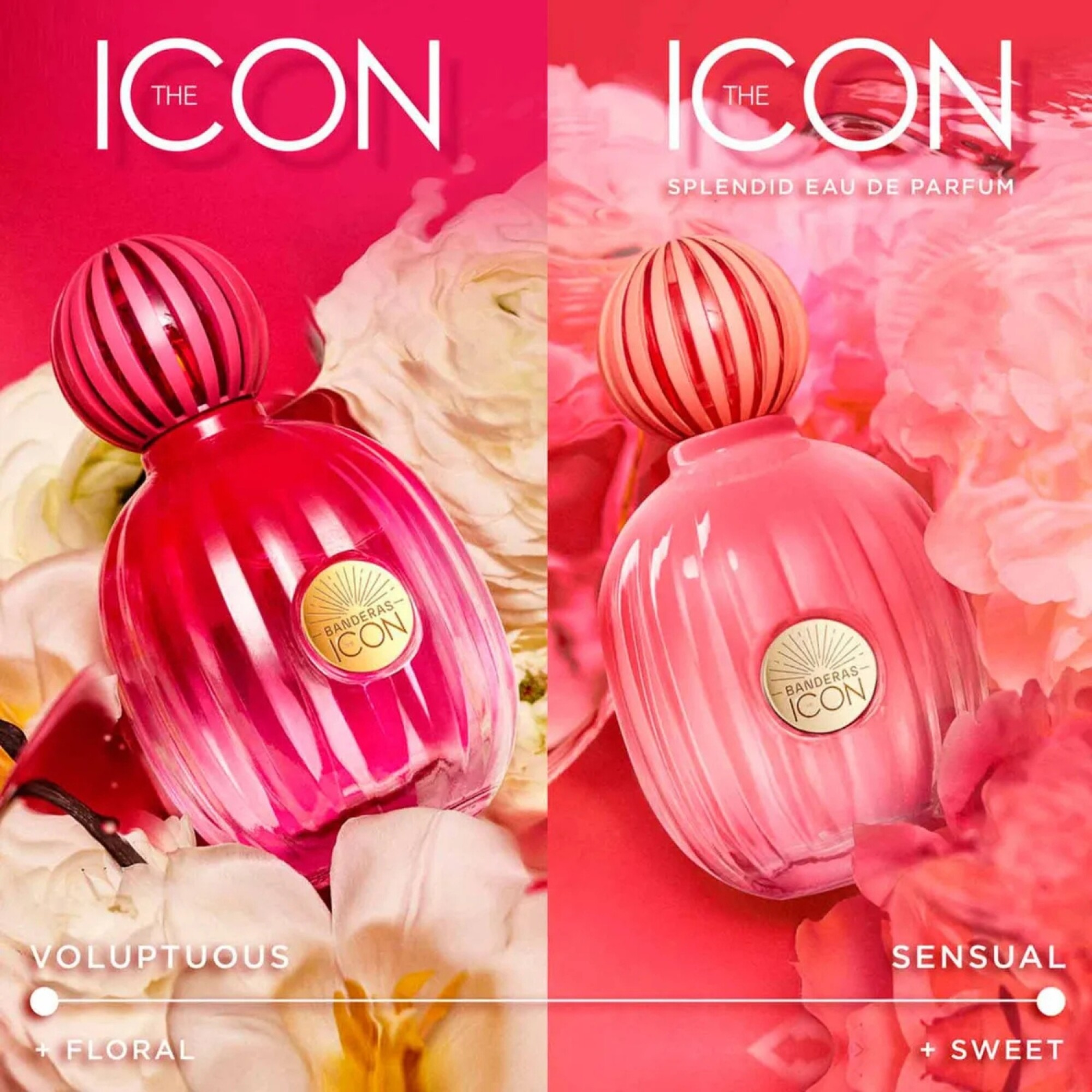 Perfume Antonio Banderas The Icon Splendid EDP 50ml — Electroventas