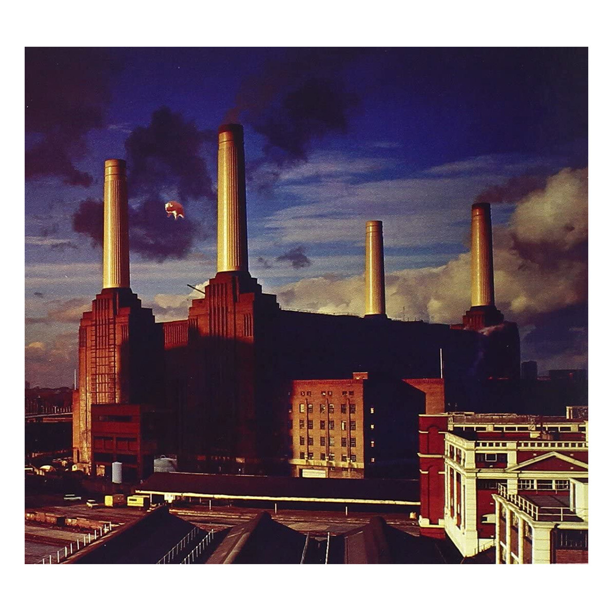 Pink Floyd-animals — Palacio de la Música