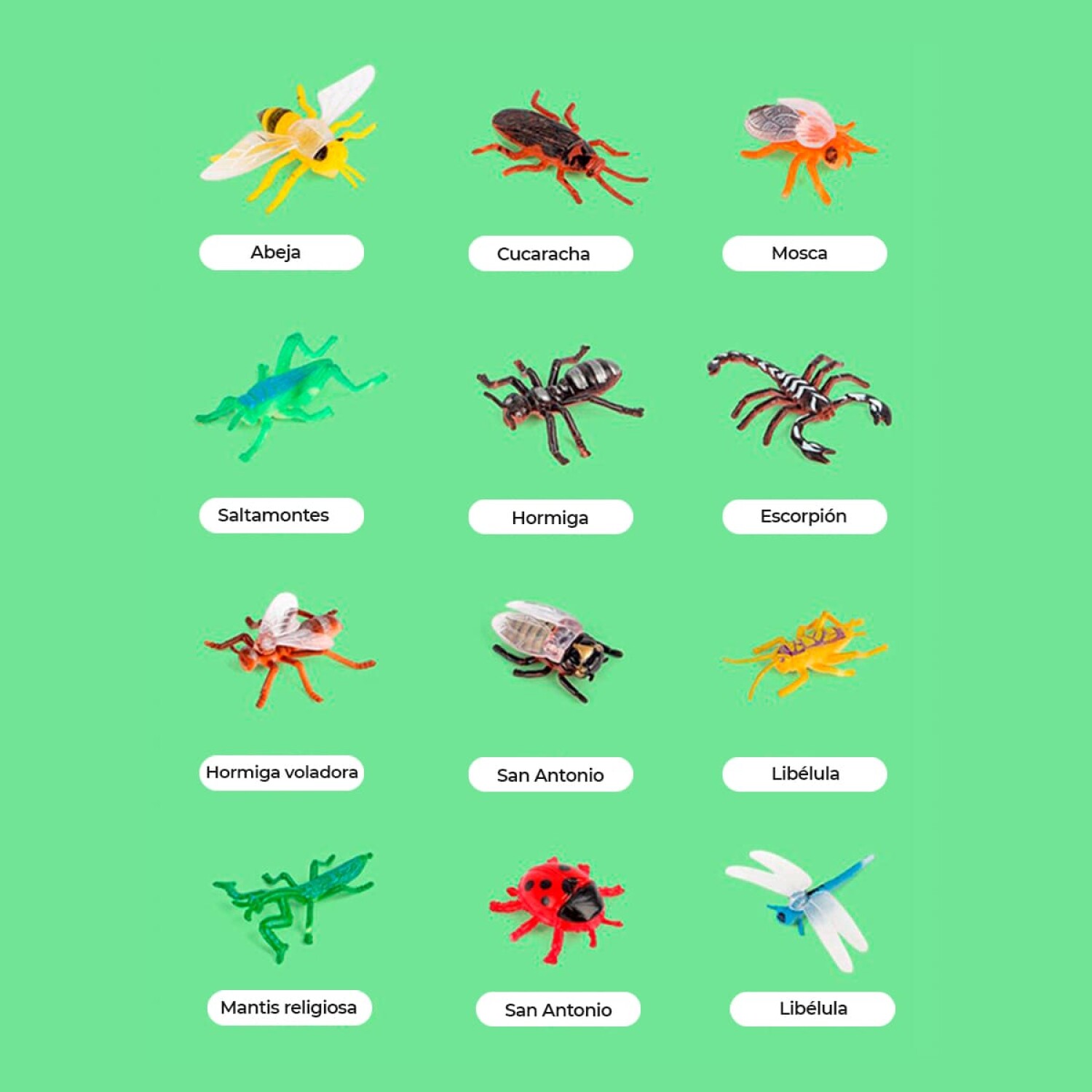 Juego De Arte Educativo Para Pintar Moldes Animales - Insectos — El Rey ...