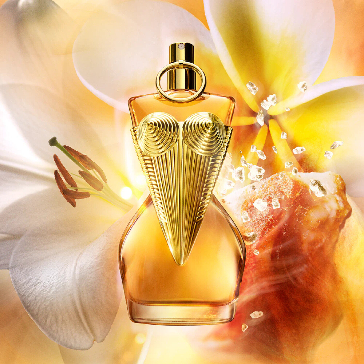 Perfume Jean Paul Gaultier Divine Elixir EDP 100ml — San Roque