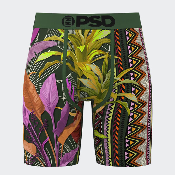 Calzoncillos PSD Aztec Fronds - Multicolor — Pricebox