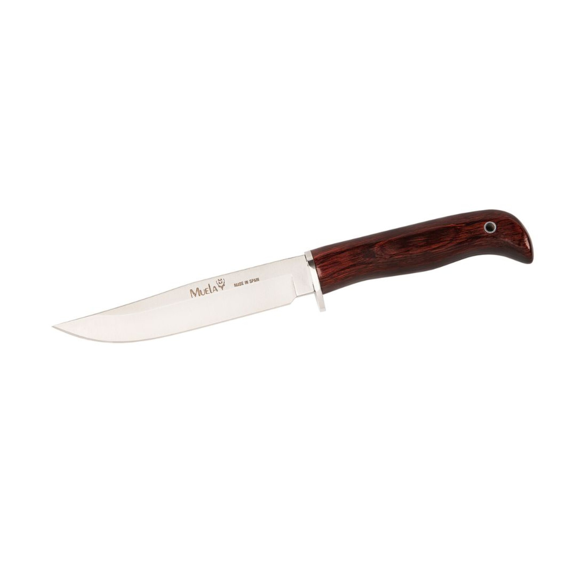 Cuchillo deportivo Gred 13R - Muela — Aventureros