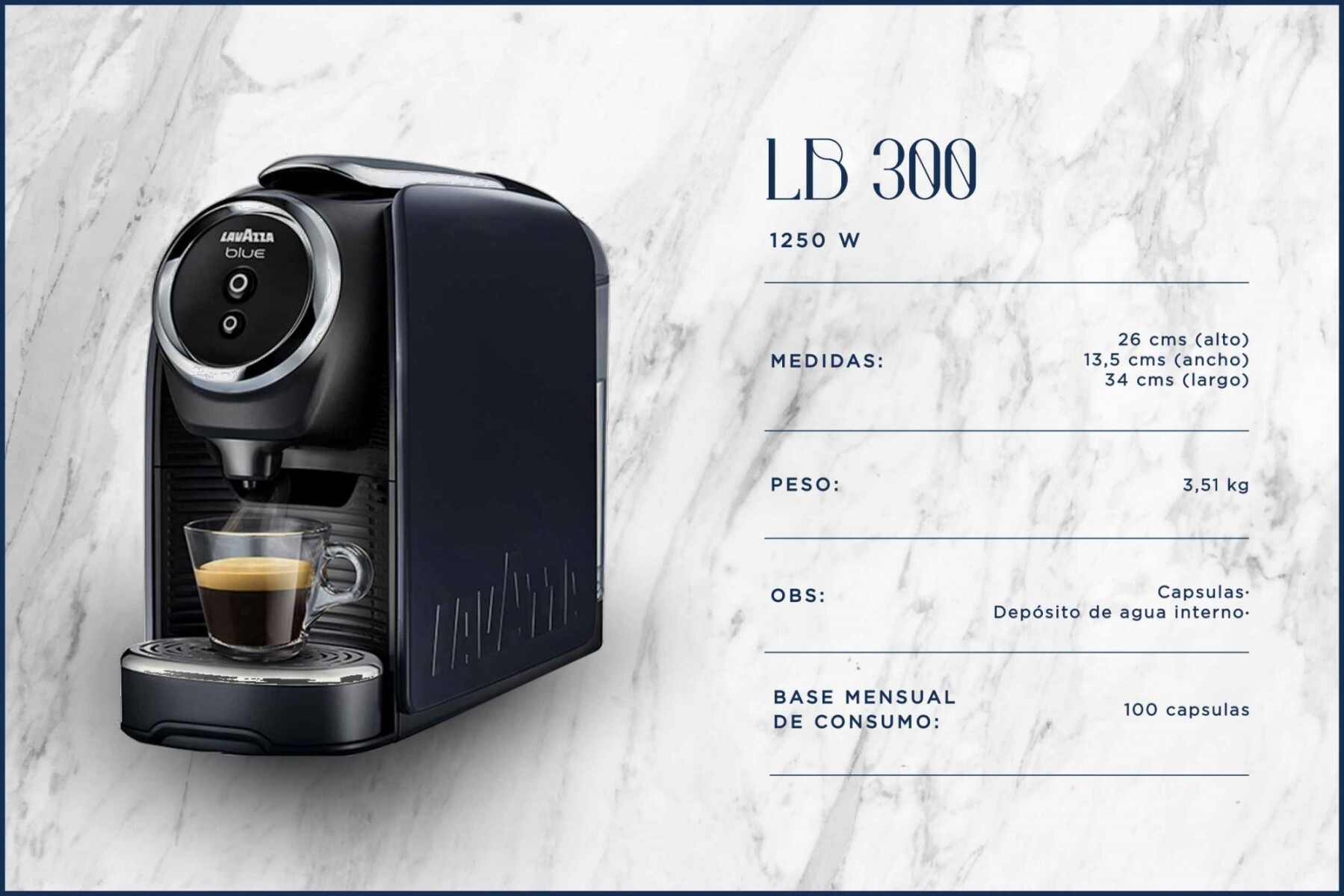 LB 300 Classy Mini — Cafe Max