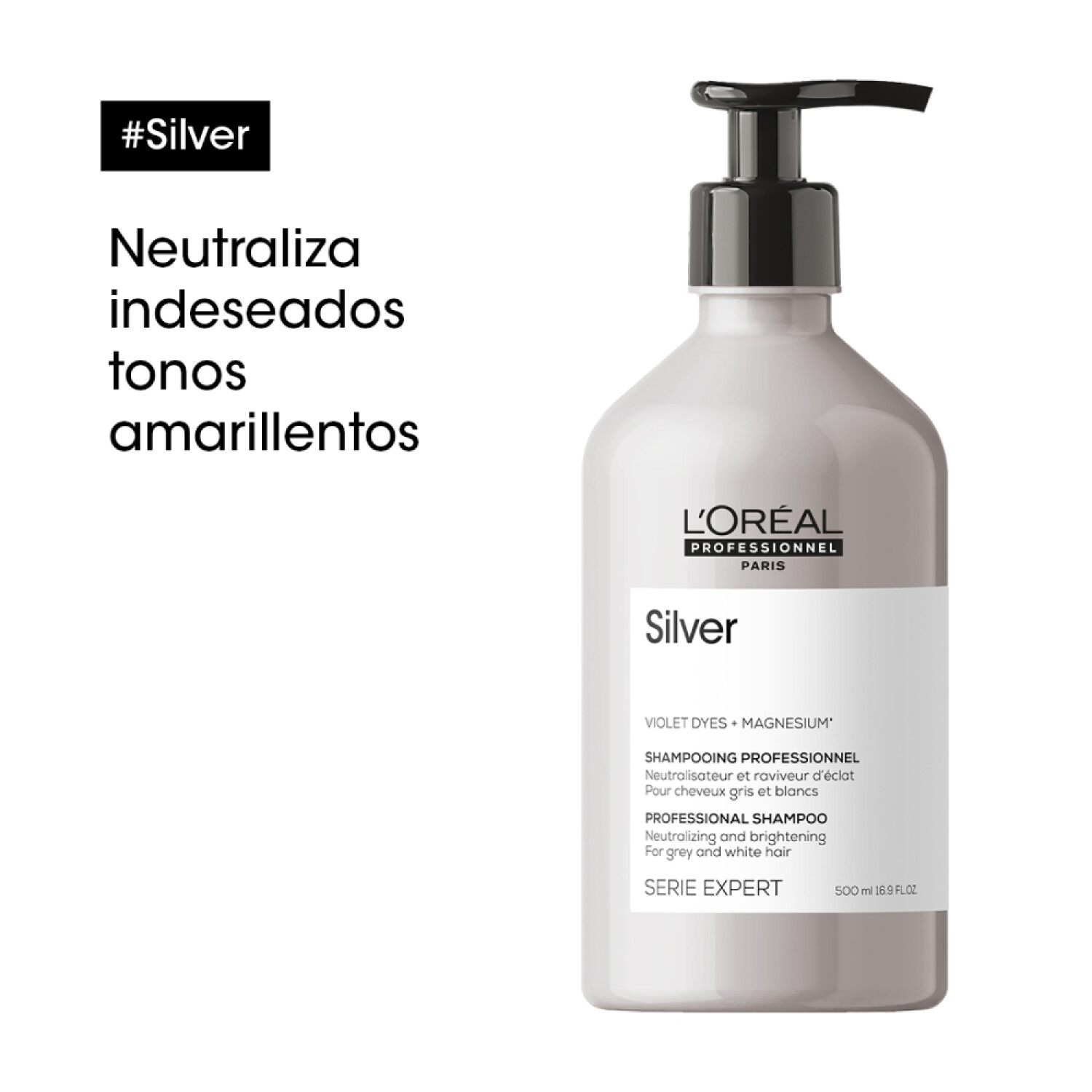 Shampoo L'Oréal Professionnel Silver 500ml — San Roque