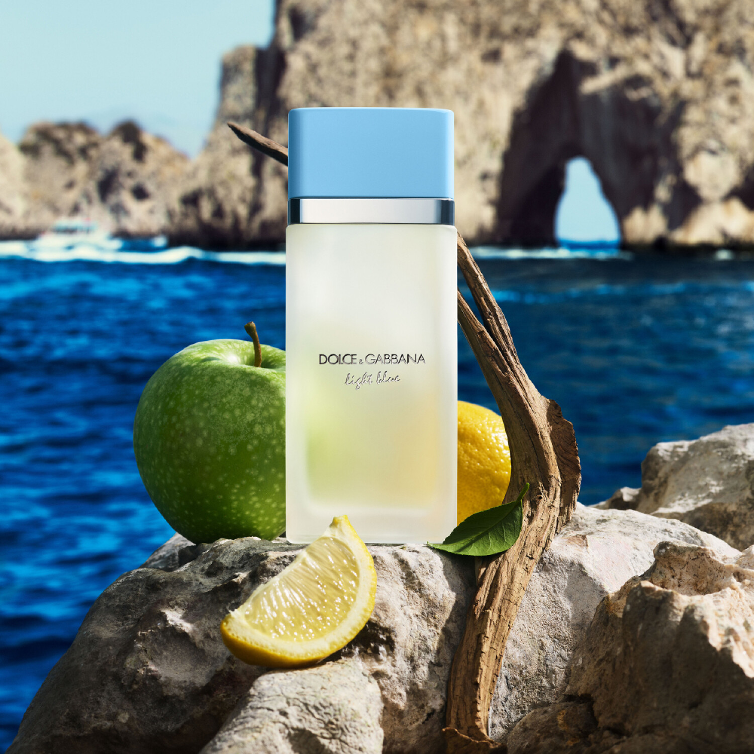 Perfume Dolce & Gabbana Light Blue EDT 100ml — San Roque