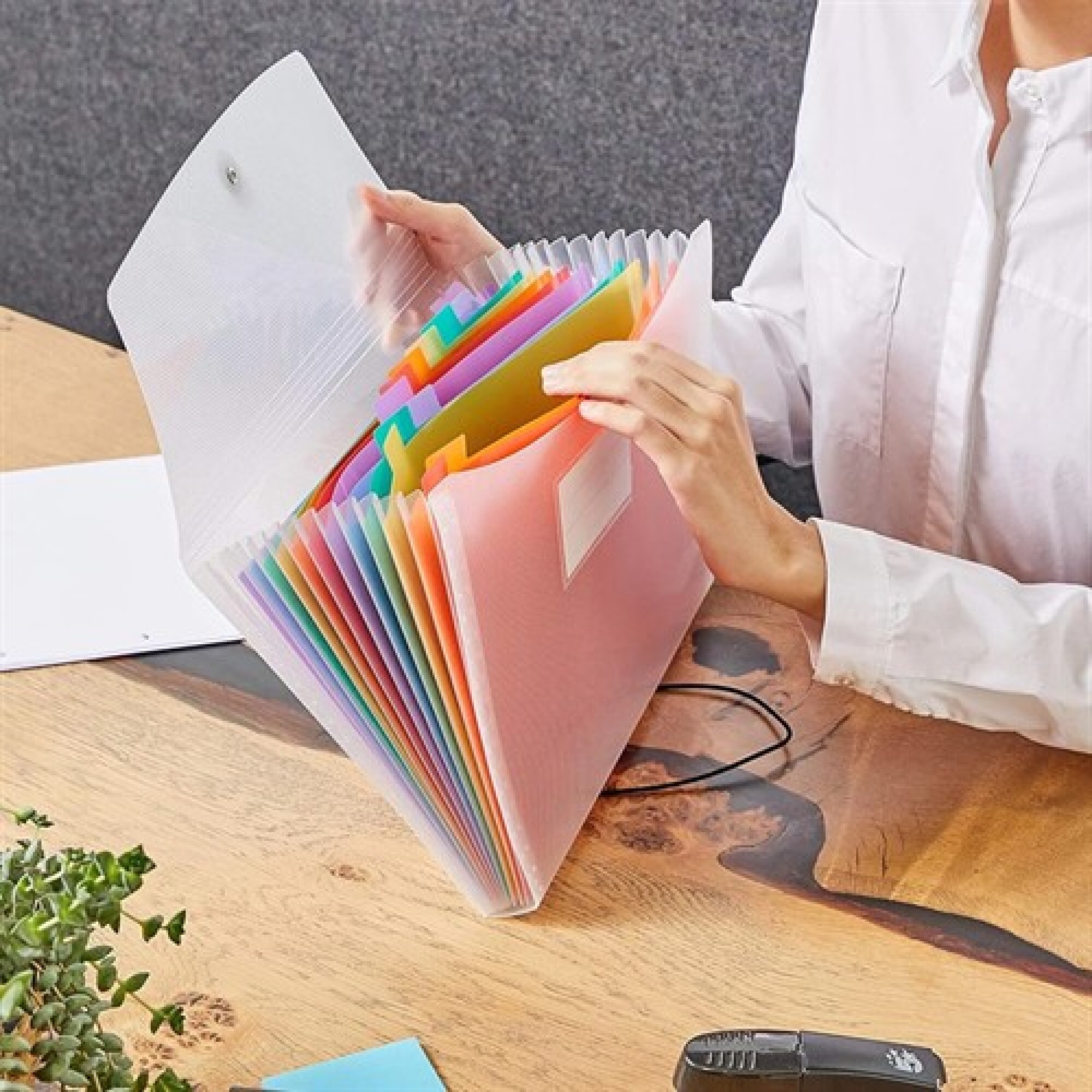 Carpeta transparente con folios divisores de colores — Mis Petates