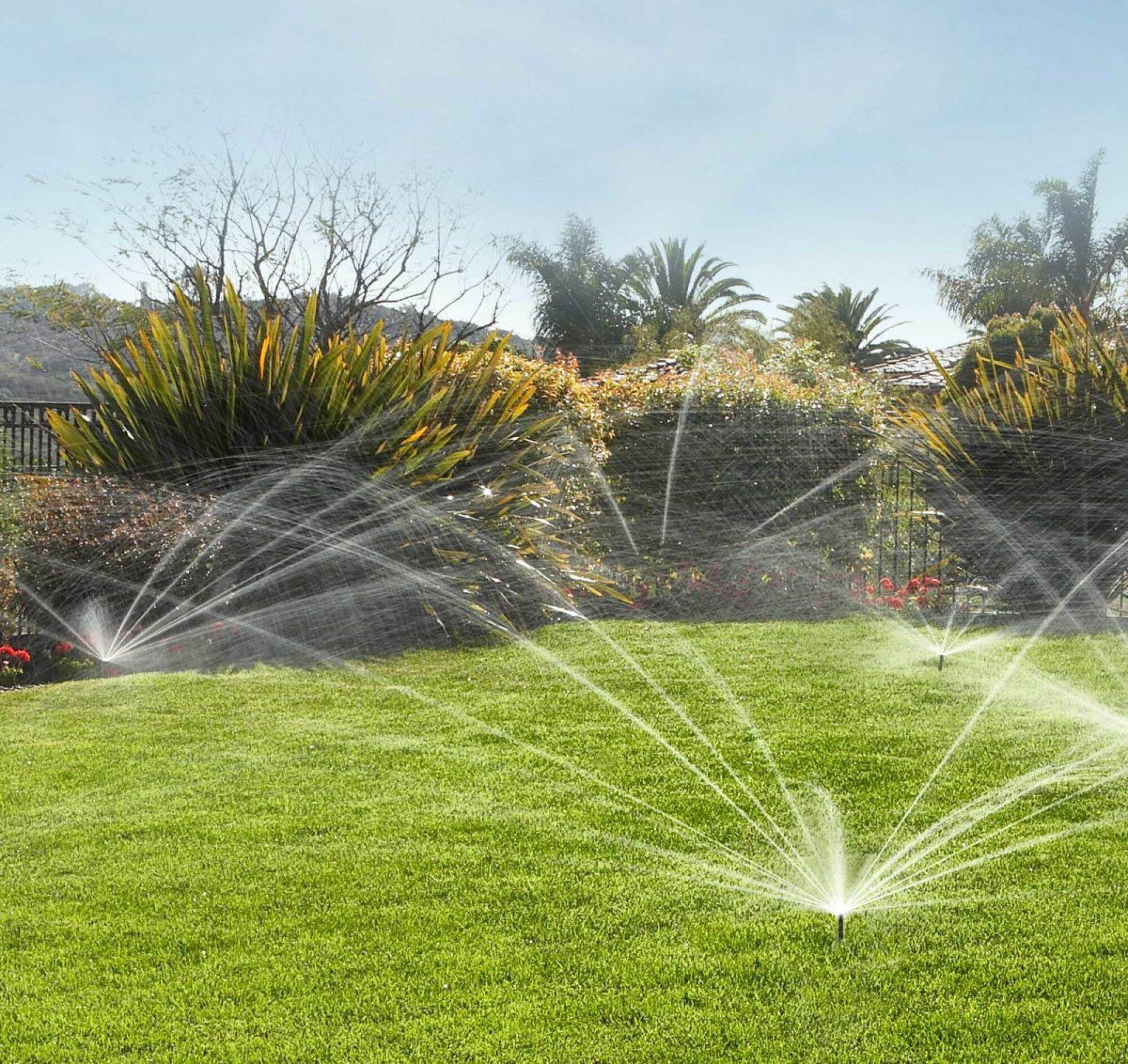 Aspersor MP Rotator - MP3000 360º — Mangusi