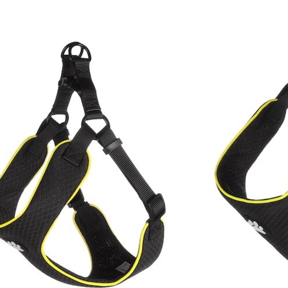 ARNES STEP&GO TASHA NEGRO S 55-65CM — Laika