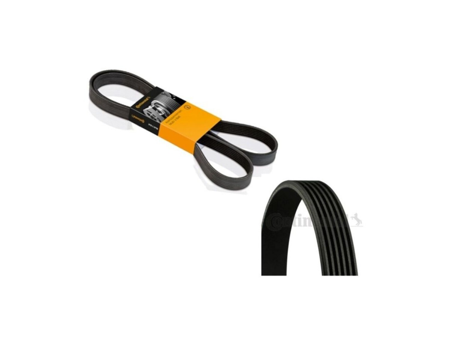 4PK780 Correa de Accesorios Continental — Larrique Rulemanes