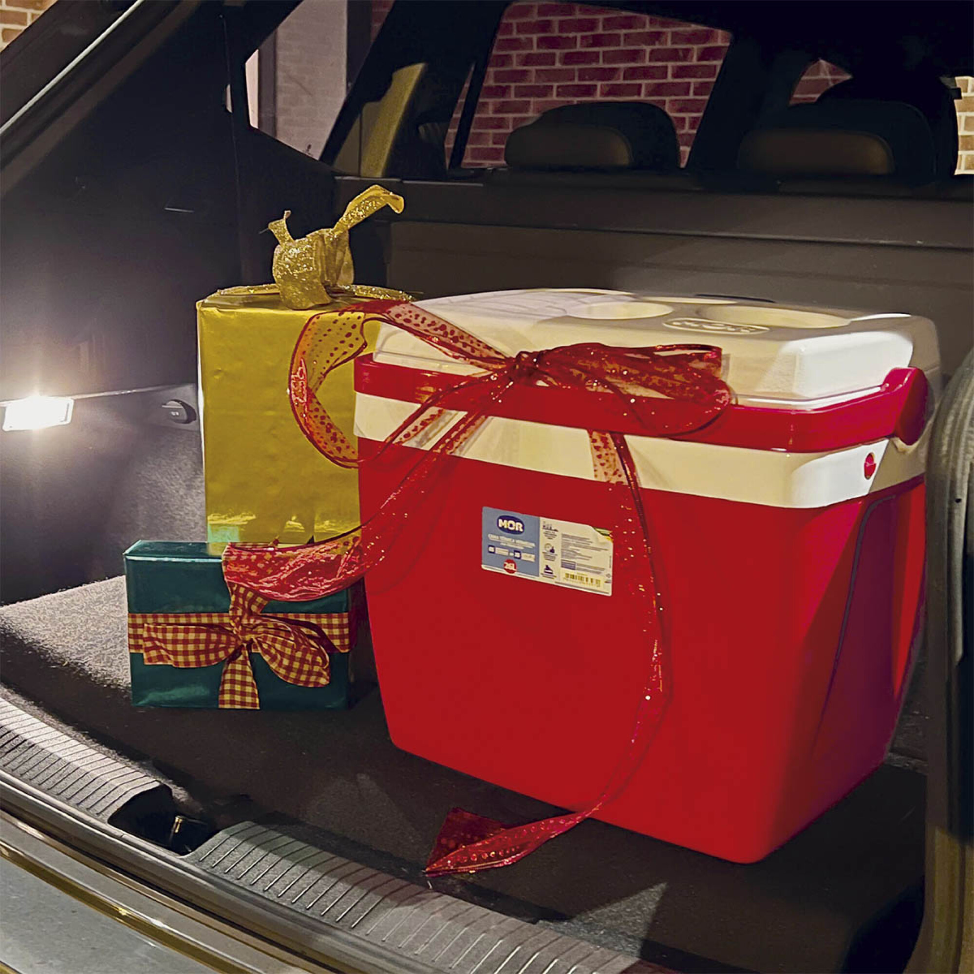 Conservadora térmica 26 lts - ROJO — Garage Impo
