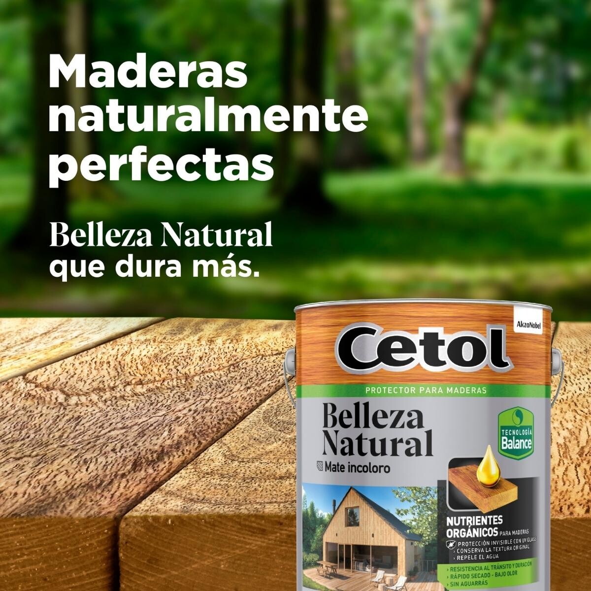 CETOL BALANCE BELLEZA NATURAL MATE INCOLORO 1LT — Pintelux