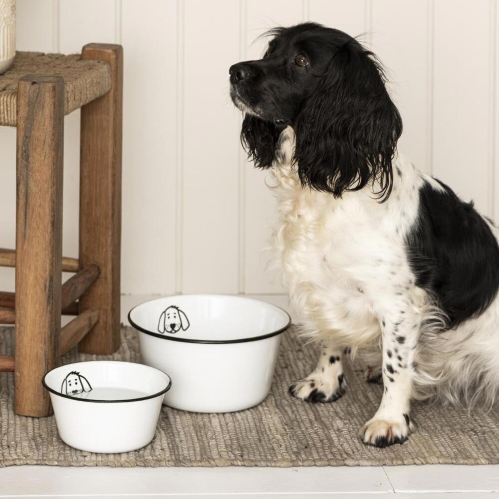 Plato Comida Perro Enamel Blanco 0441 — Divino