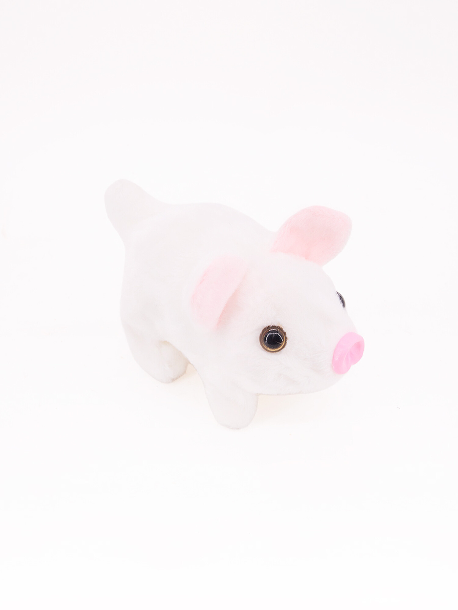 CHANCHO CAMINA A PILAS - BLANCO — Guapa - Paprika
