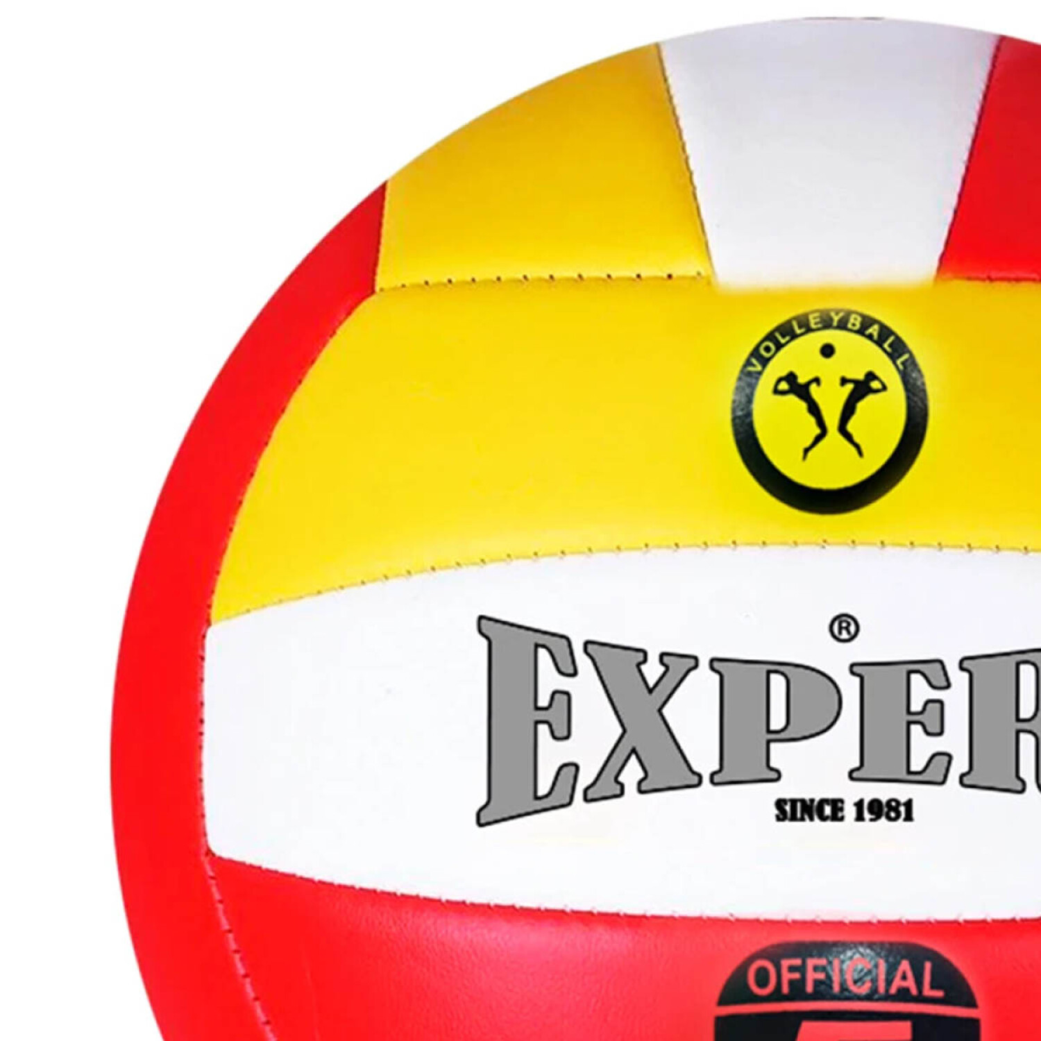 Pelota Volleyball Expert Nº5 Oficial Voley Playa — El Rey del ...