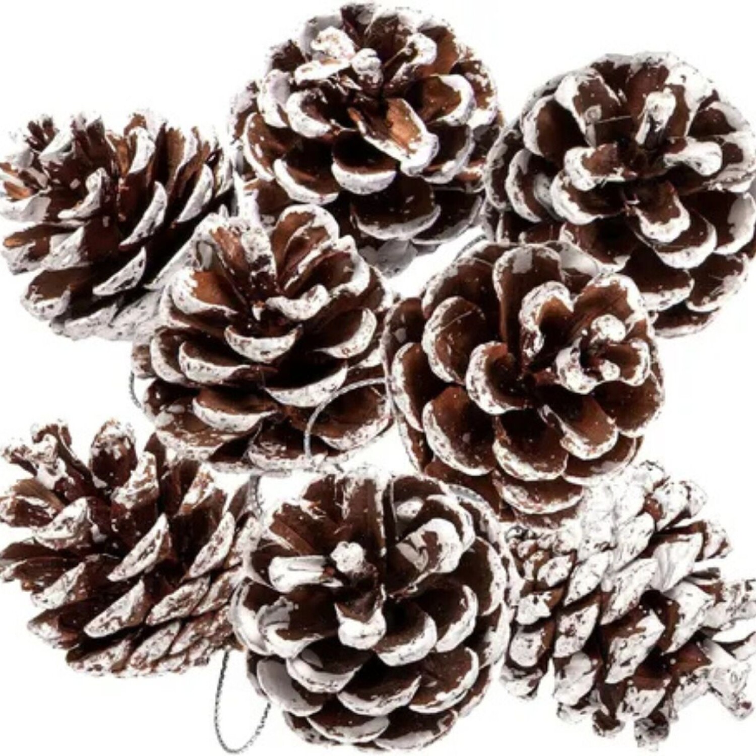 Piñas Navideñas x6 — Casa Fessta