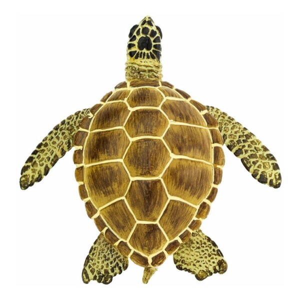 Tortuga Marina Loggerhead Safari Muñeco Animal Figura — Atrix