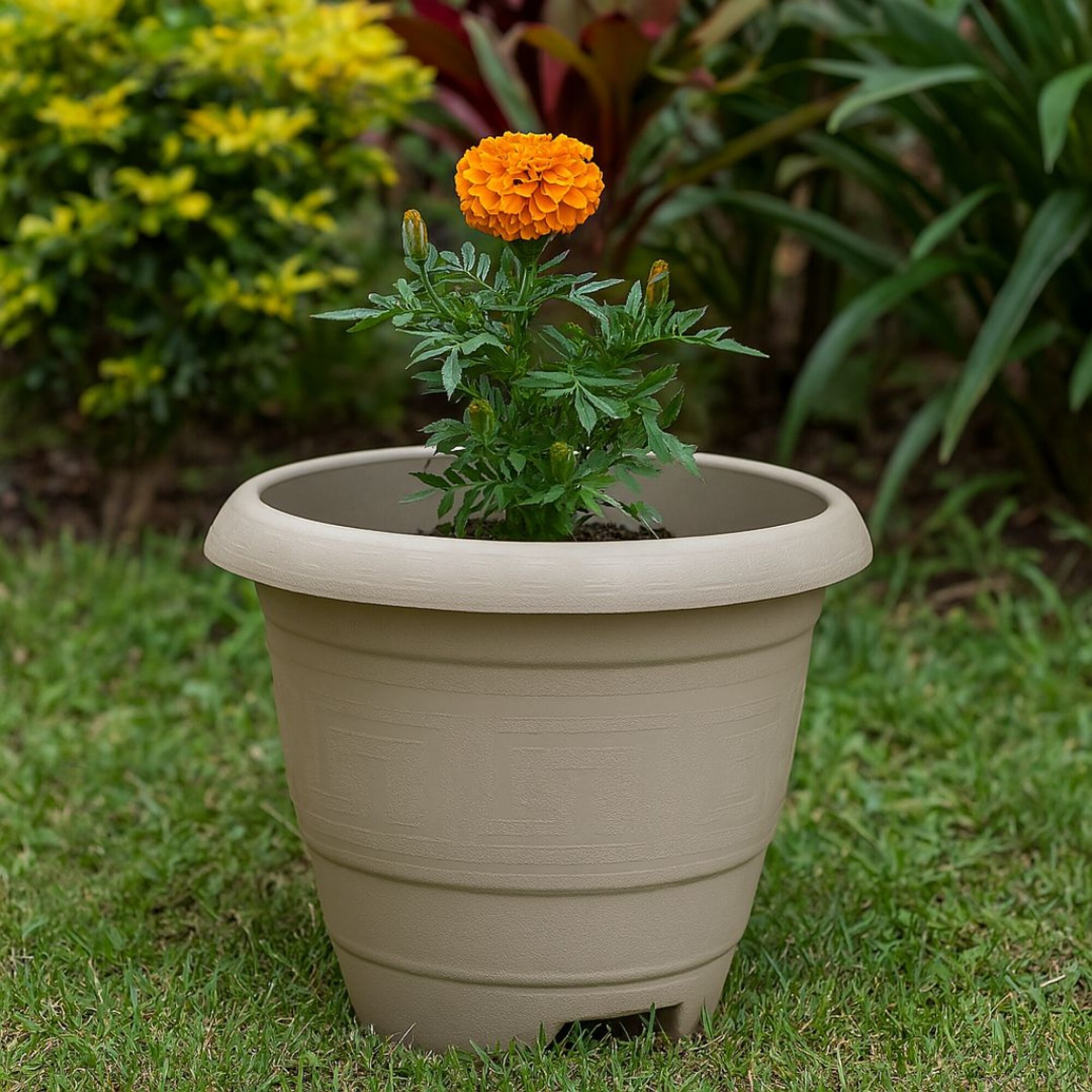 MACETA REDONDA 26 LTS ARENA - ARENA — Todolandia