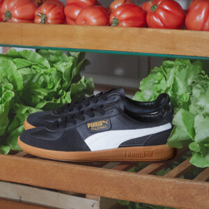 Revive la Leyenda con los PUMA Palermo — Zooko