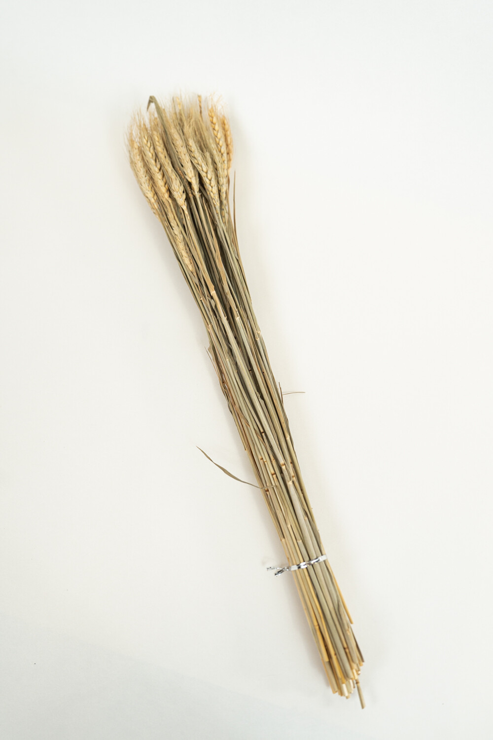 Deco Floral Trigo Seco - Color Unico — Indian