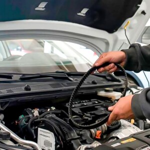 Correa de distribución: ¿Cada cuánto se cambia? — Autocentro Soriano