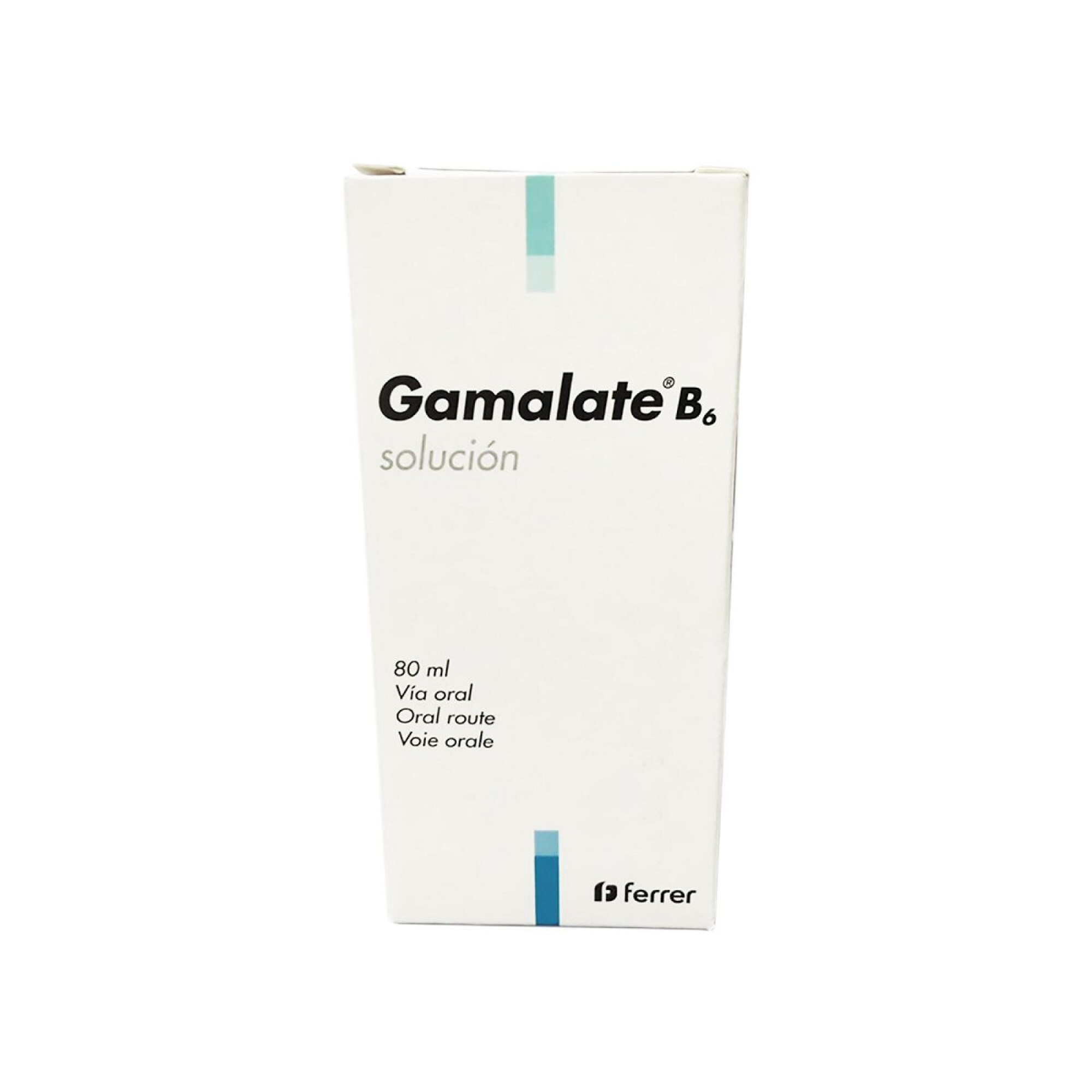 GAMALATE B6 JARABE FRASCO X 80 ML. — Farmacenter