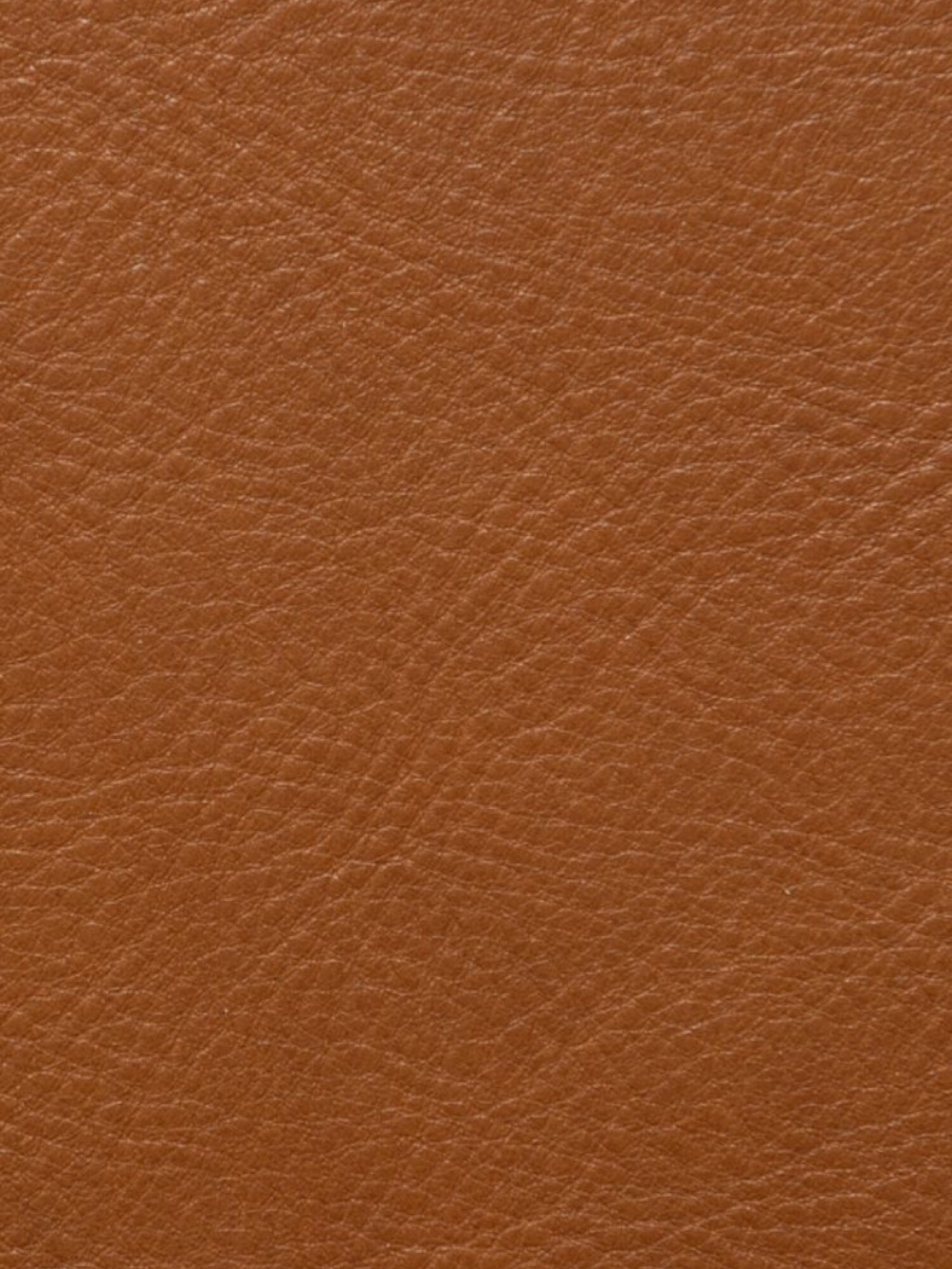 PVC TAPICERIA - marron — Baldivia