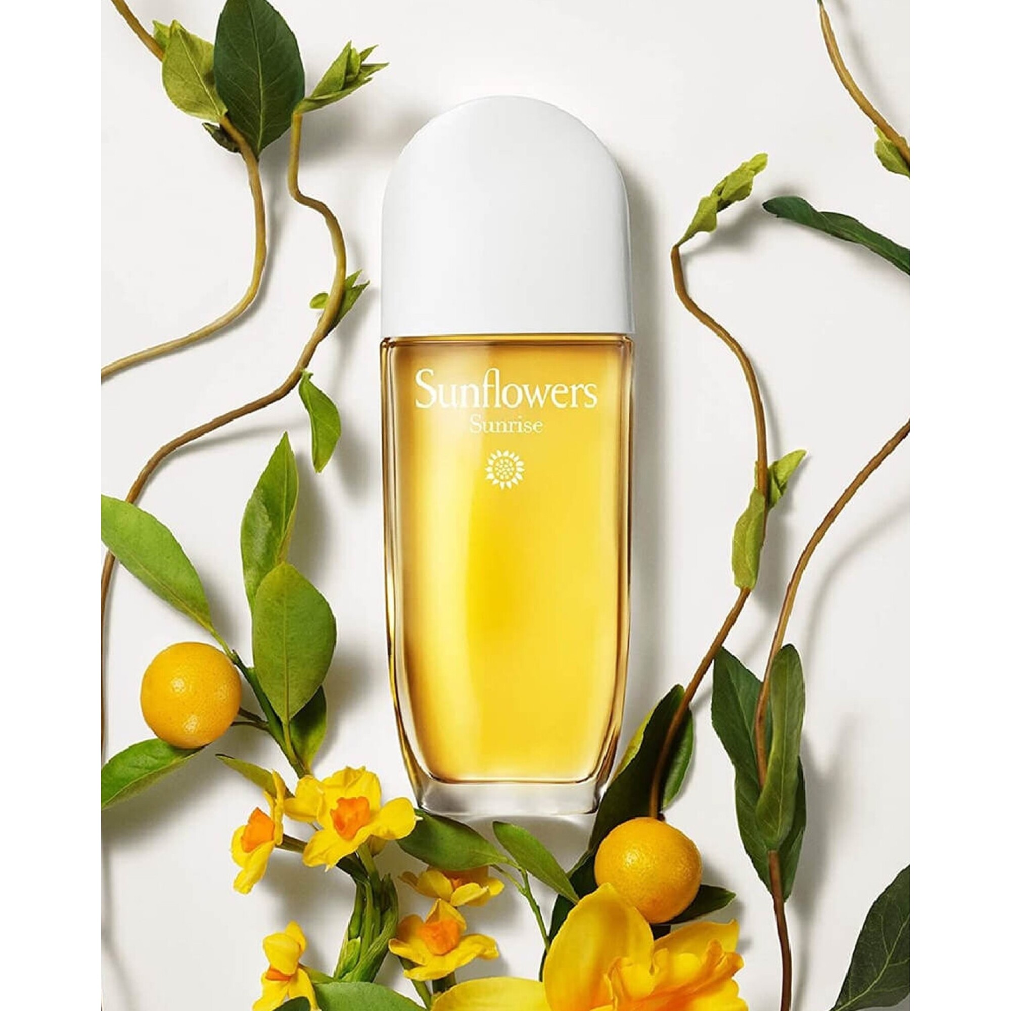 Perfume Elizabeth Arden Sunflowers Sunrise EDT 100ml — Electroventas