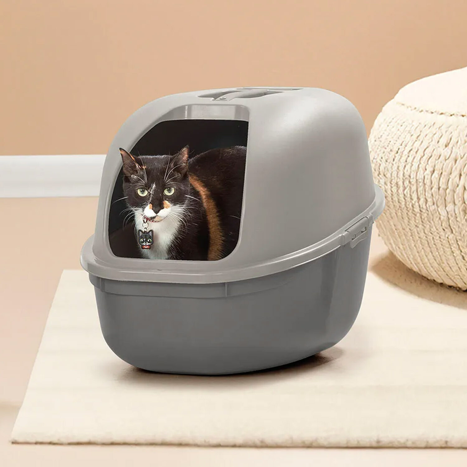 Caja Arenero para Gato con Pala Rimax 60x40cm — Electroventas